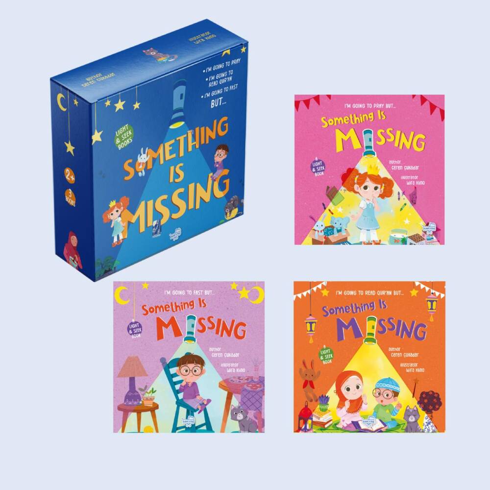 Something Is Missing – Light & Seek Board Book Set – OAK Creative Designs